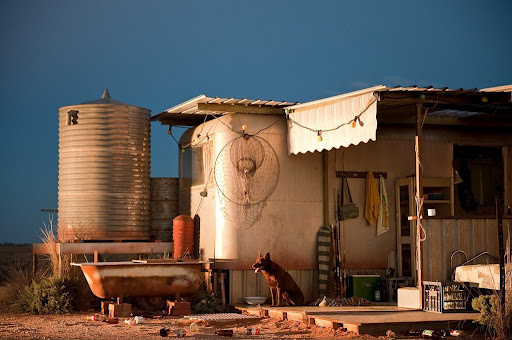 Beautiful Day: Red Dog - Film Love